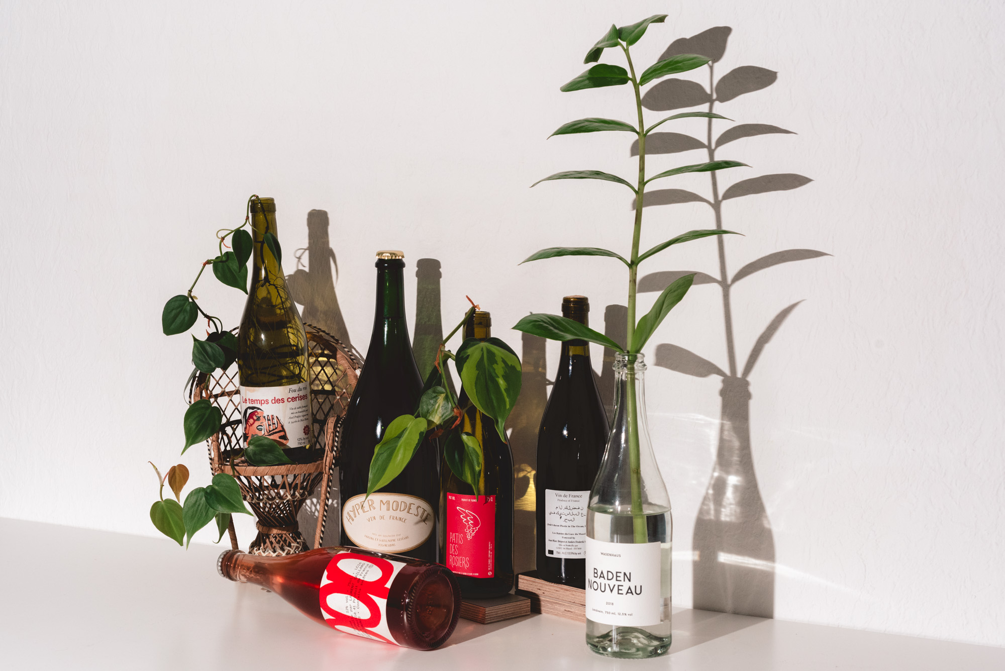 AN EASY INTRODUCTION TO NATURAL WINE